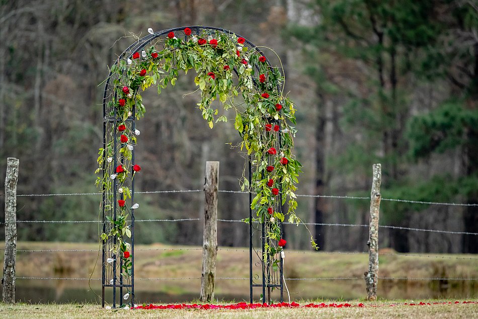 Carson & Daisha Proposal 2024 - Engagements - Kevin Beasley ...